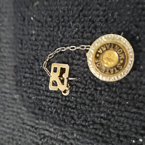 Other | Vintage State Of Montana 29 Year Service Pin | Poshmark